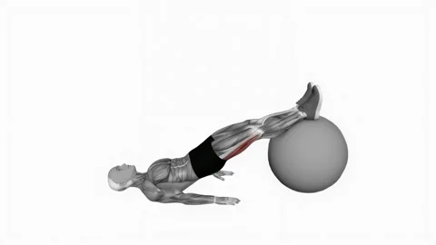 Exercise Ball One Legged Diagonal Kick H... | Stock Video | Pond5