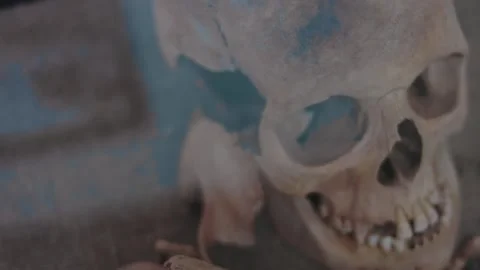 An exhibit of a human skull at museum. R... | Stock Video | Pond5