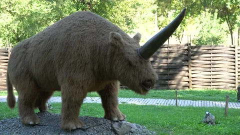 Animals Modeling Stock Videos – Royalty-Free HD & 4K Videos | Pond5