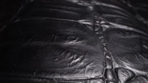 Exotic Leather Hides and Skins. Real lea... | Stock Video | Pond5