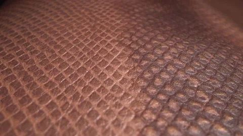 Exotic snake skin leather. Real leather ... | Stock Video | Pond5