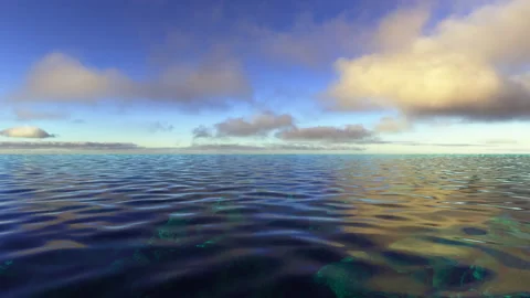 Exotic summer vacation at the sea. Anima... | Stock Video | Pond5