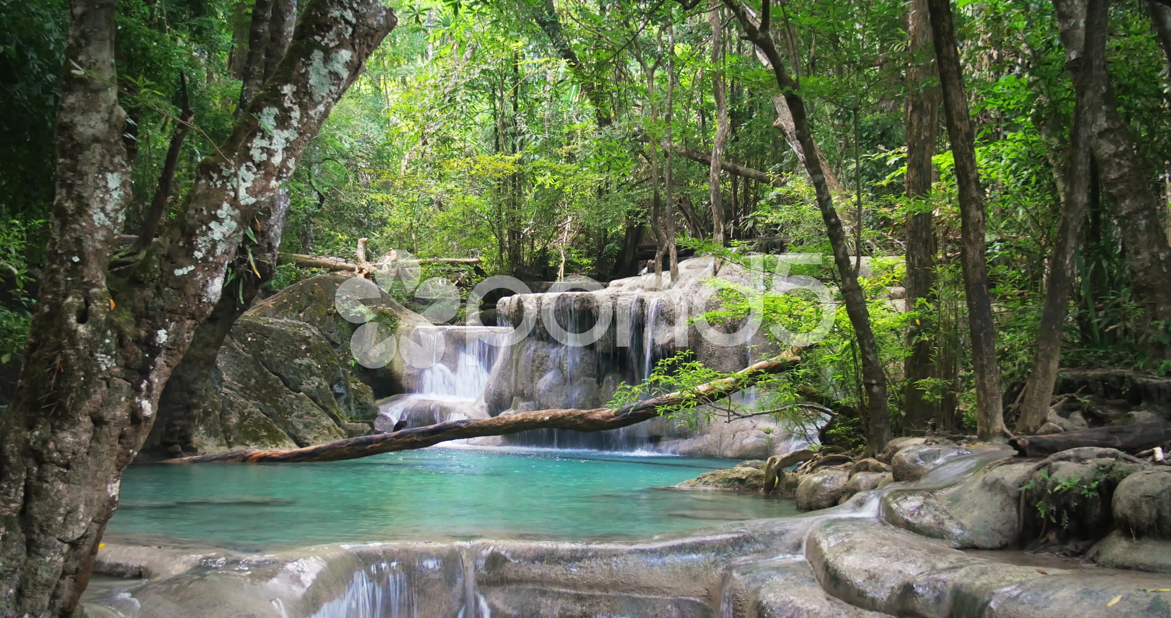 Waterfall Jungle Forest Pond Amazon.com: ART.COM Wall Photographic