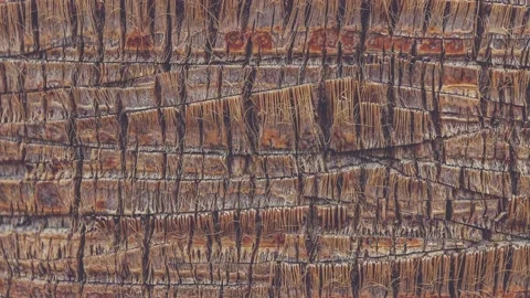 Wood Texture Seamless Pattern Stock Videos – Royalty-Free HD & 4K ...