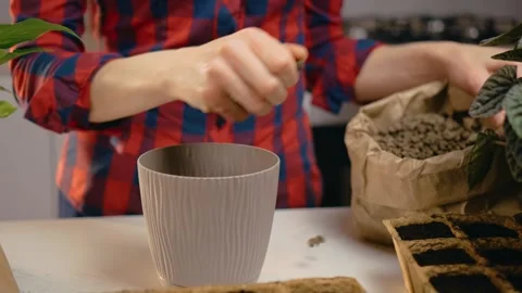 Expanded clay drainage layer poured by y... | Stock Video | Pond5