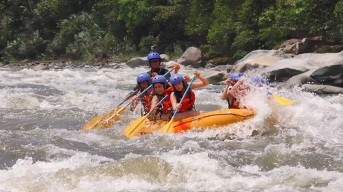 Sexi Group Vidio Stock Footage ~ Royalty Free Stock Videos | Pond5