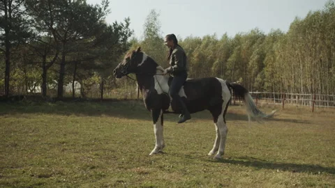 An experienced female rider on horseback... | Stock Video | Pond5