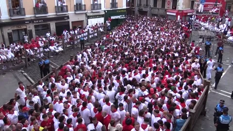 Bull Runner Stock Videos – Royalty-Free HD & 4K Videos