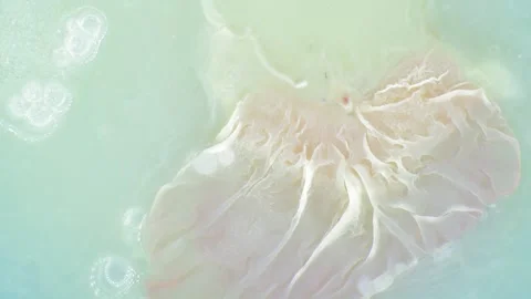 Experiment on growing biofilm from micro... | Stock Video | Pond5