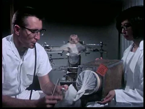 Monkey Experiment Stock Videos – Royalty-Free HD & 4K Videos