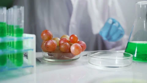 Experiments with grapes fruits in labora... | Stock Video | Pond5