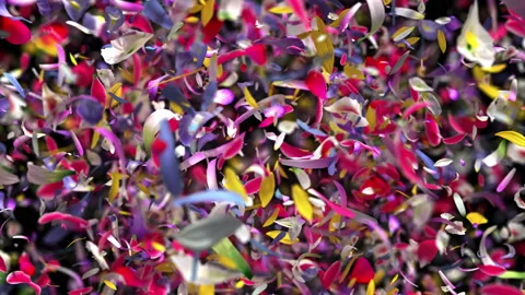 Flowers Falling Stock Video Footage | Royalty Free Flowers Falling Videos | Pond5