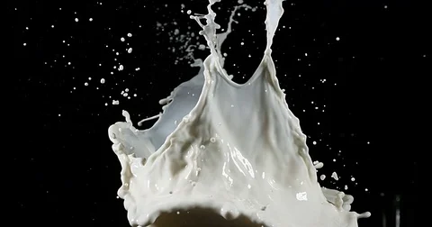 Exploding Milk against Black Background,... | Stock Video | Pond5