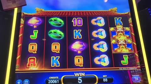 Game 8 Wilds Stock Videos – Royalty-Free HD & 4K Videos