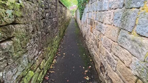 Explore the Narrow Stone Pathway Lined W... | Stock Video | Pond5