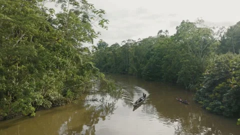 Exploring On The Amazon Rainforest With ... | Stock Video | Pond5