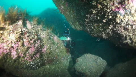 Sea Caves Underwater Stock Videos – Royalty-Free HD & 4K Videos | Pond5