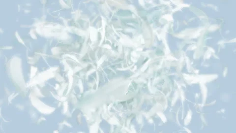 Explosion Of Feathers in 4K | Stock Video | Pond5