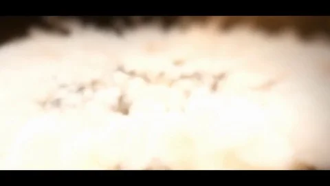 Explosion Logo Reveal ~ After Effects Template #72223611