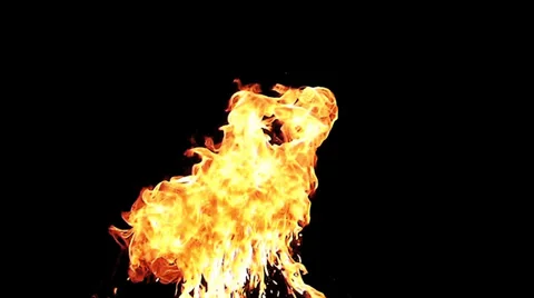 Pre Keyed Stock Video Footage | Royalty Free Pre Keyed Videos | Pond5