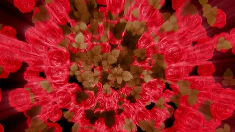 Explosion of Red Roses and Leaves with L... | Stock Video | Pond5