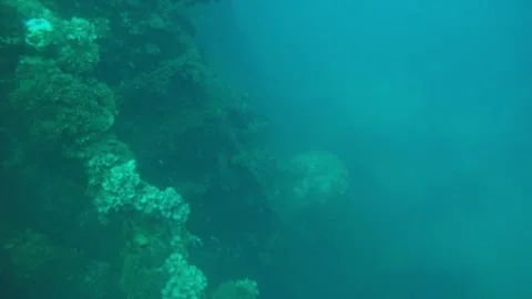 The exterior of a ship wreck in Truk Lag... | Stock Video | Pond5