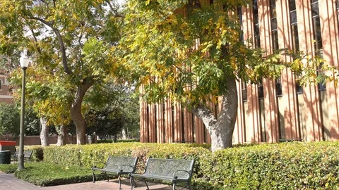 Usc Stock Video Footage | Royalty Free Usc Videos | Pond5