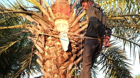 Juice Extraction Stock Footage ~ Royalty Free Stock Videos | Pond5