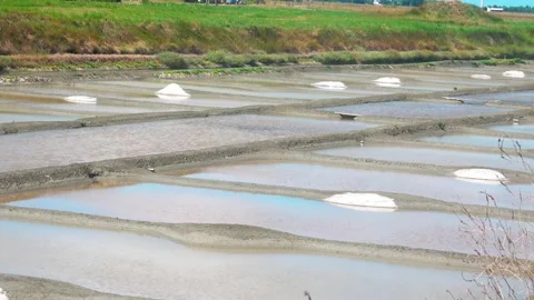Extraction of salt from sea water farm. | Stock Video | Pond5