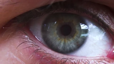 Extreme close up of blinking human eye i... | Stock Video | Pond5