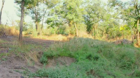 Extreme cyclist Long jump on springboard... | Stock Video | Pond5