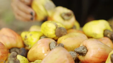 Woman Lose The Stock Videos – Royalty-Free HD & 4K Videos