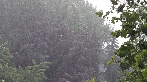 Extreme rain with trees in the backgroun... | Stock Video | Pond5