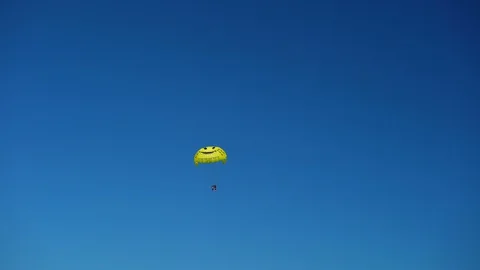 Flight Risk Video Stock Videos – Royalty-Free HD & 4K Videos | Pond5