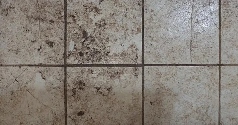 extremely dirty and filthy tile floor wi... | Stock Video | Pond5