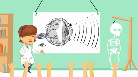 Eye - anatomy class - cartoon brunette | Stock Video | Pond5