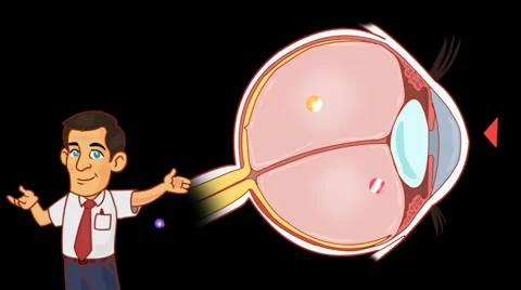 Eye Anatomy - Vector Cartoon - Black Ba... | Stock Video | Pond5