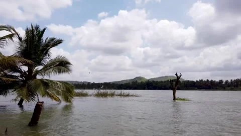 Eye Catchin] Stock Videos – Royalty-Free HD & 4K Videos