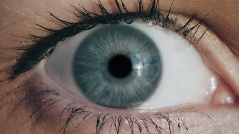 Future Transitions Stock Videos – Royalty-Free HD & 4K Videos | Pond5