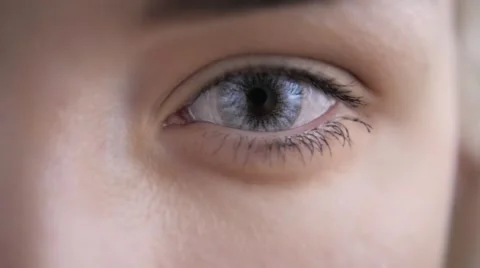 Eye Contact Girl Stock Videos – Royalty-Free HD & 4K Videos