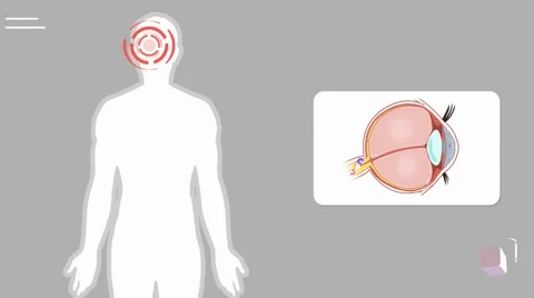 Eye - vector animation - analysis - whit... | Stock Video | Pond5