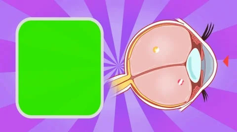 Eye - Vector Animation - Human Body - Su... | Stock Video | Pond5