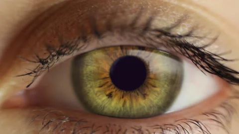 Iris Transition Stock Video Footage | Royalty Free Iris Transition Videos | Pond5