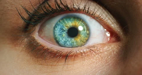 Eye, vision and awareness of woman openi... | Stock Video | Pond5