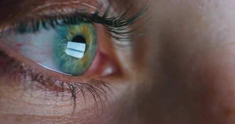 Eye, vision and reading journalist woman... | Stock Video | Pond5