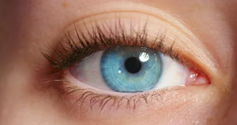 Eye, vision and sight with the blue eyes... | Stock Video | Pond5