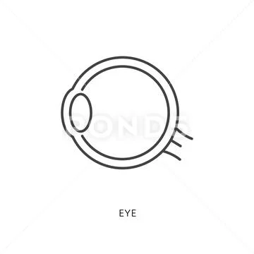 Eyeball anatomy side view symbol Illustration #232988876