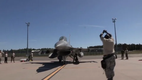 M0Nesy In Falcons Stock Videos – Royalty-Free HD & 4K Videos