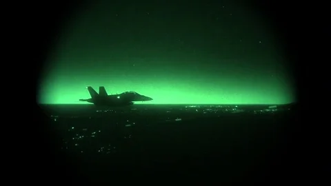 Hornet Stock Videos – Royalty-Free HD & 4K Videos