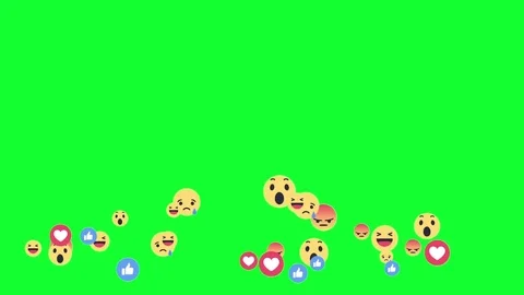 Facebook Reaction Live Stock Videos – Royalty-Free HD & 4K Videos | Pond5